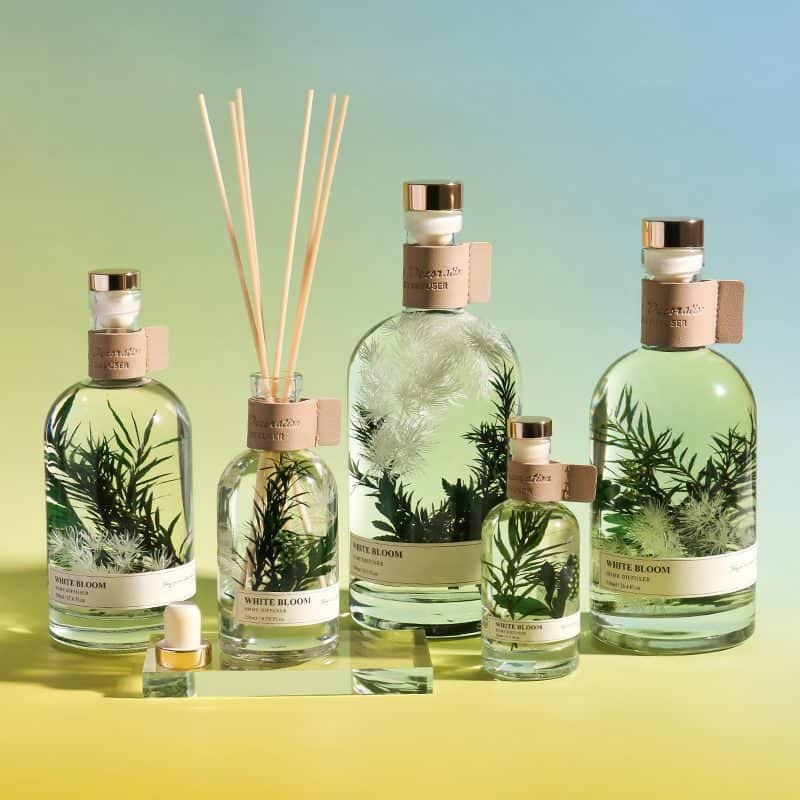 Extra Large Reed Diffuser in 100ml–1000ml Sizes – HighlyScent